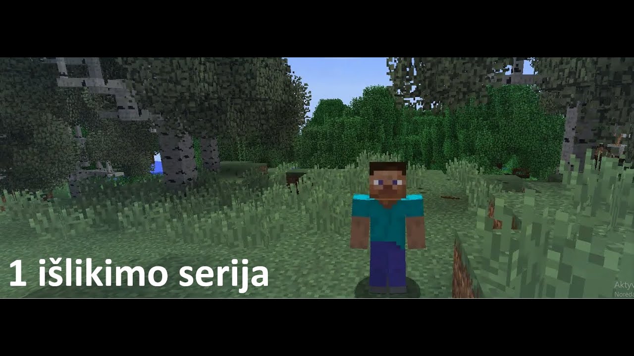 rlc minecraft lietuviškai su mrkriminalais - YouTube
