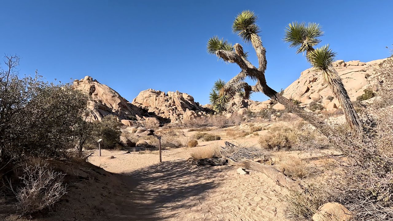 Barker Dam nature trail loop at Joshua Tree NP - 4K - - YouTube