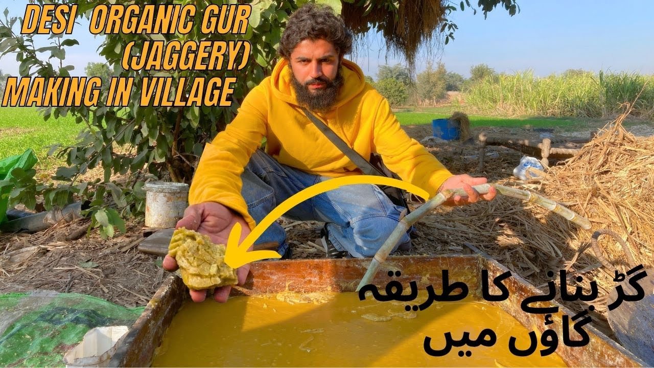 Natural Jaggery Making Process at Village | Jaggery Making Process from ...