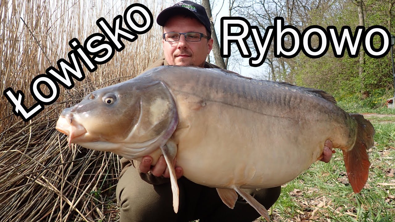 #1 Łowisko Rybowo | Duże karpie na teamowej zasiadce - YouTube