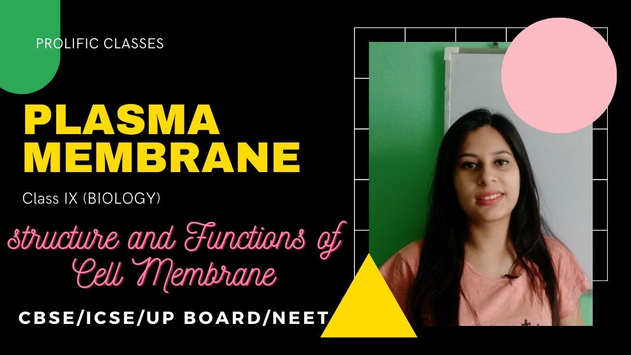 PLASMA MEMBRANE CLASS 9 PROLIFIC CLASSES YouTube plasma-membrane-class-9-prolific-classes-youtube