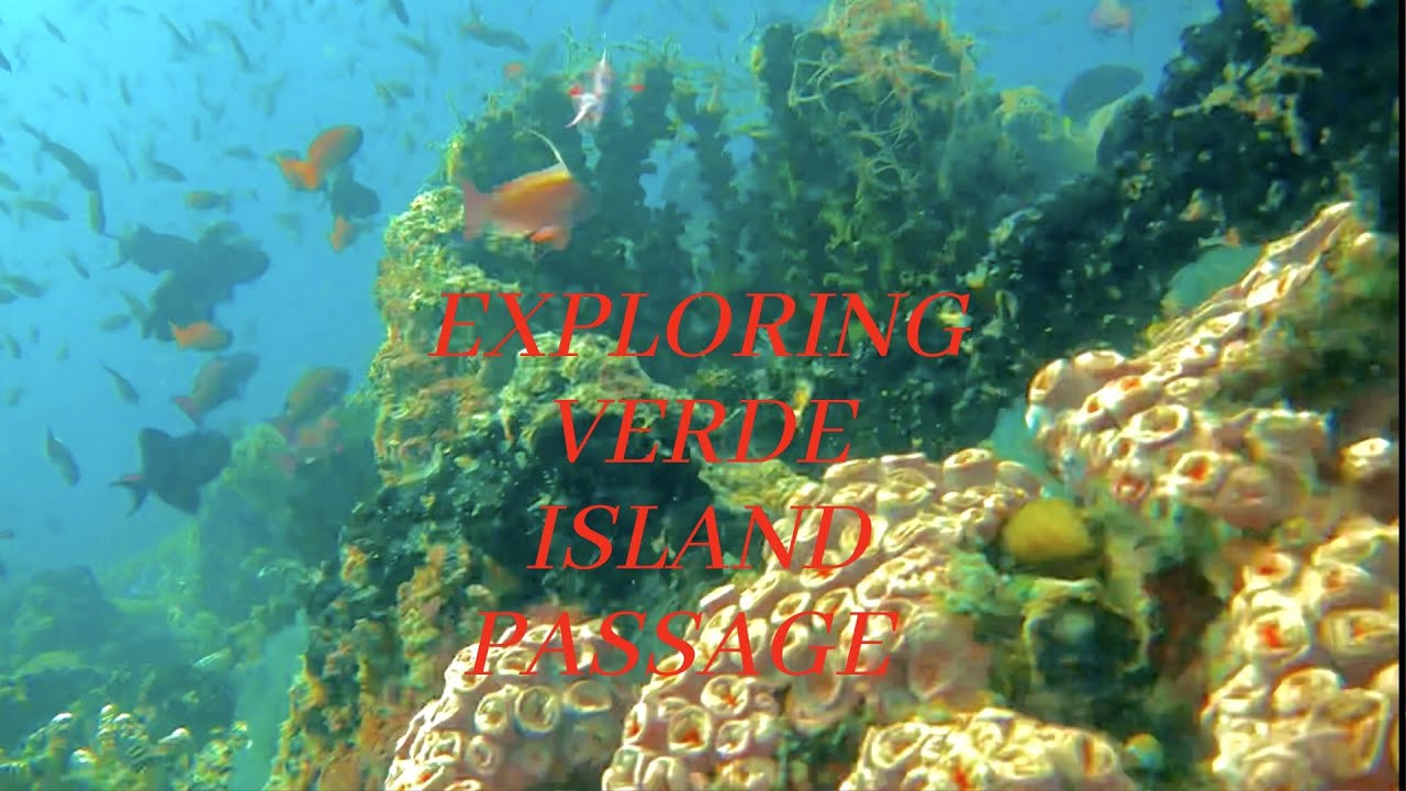 World Class Dive Site Destination (ft. Isla Verde and Verde Island ...