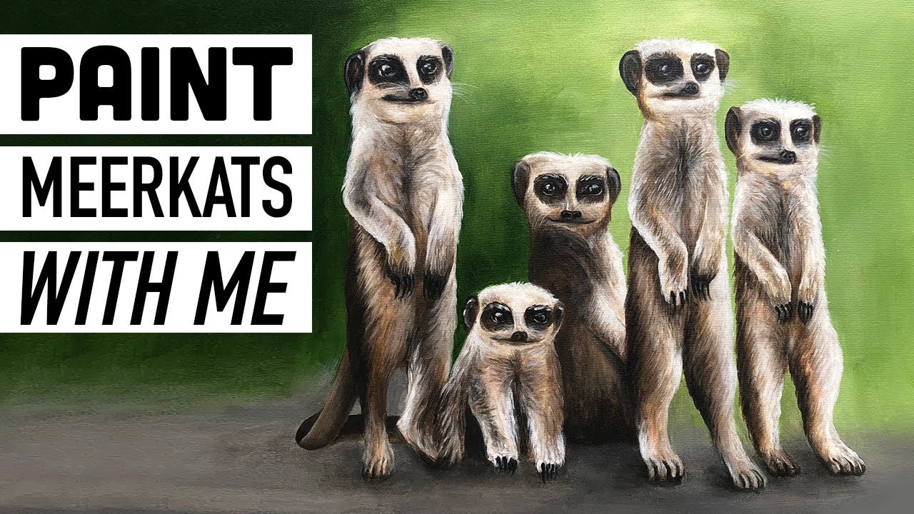 PAINTING AFRICAN MEERKATS Acrylic Canvas & Why I Started Art YouTube ...