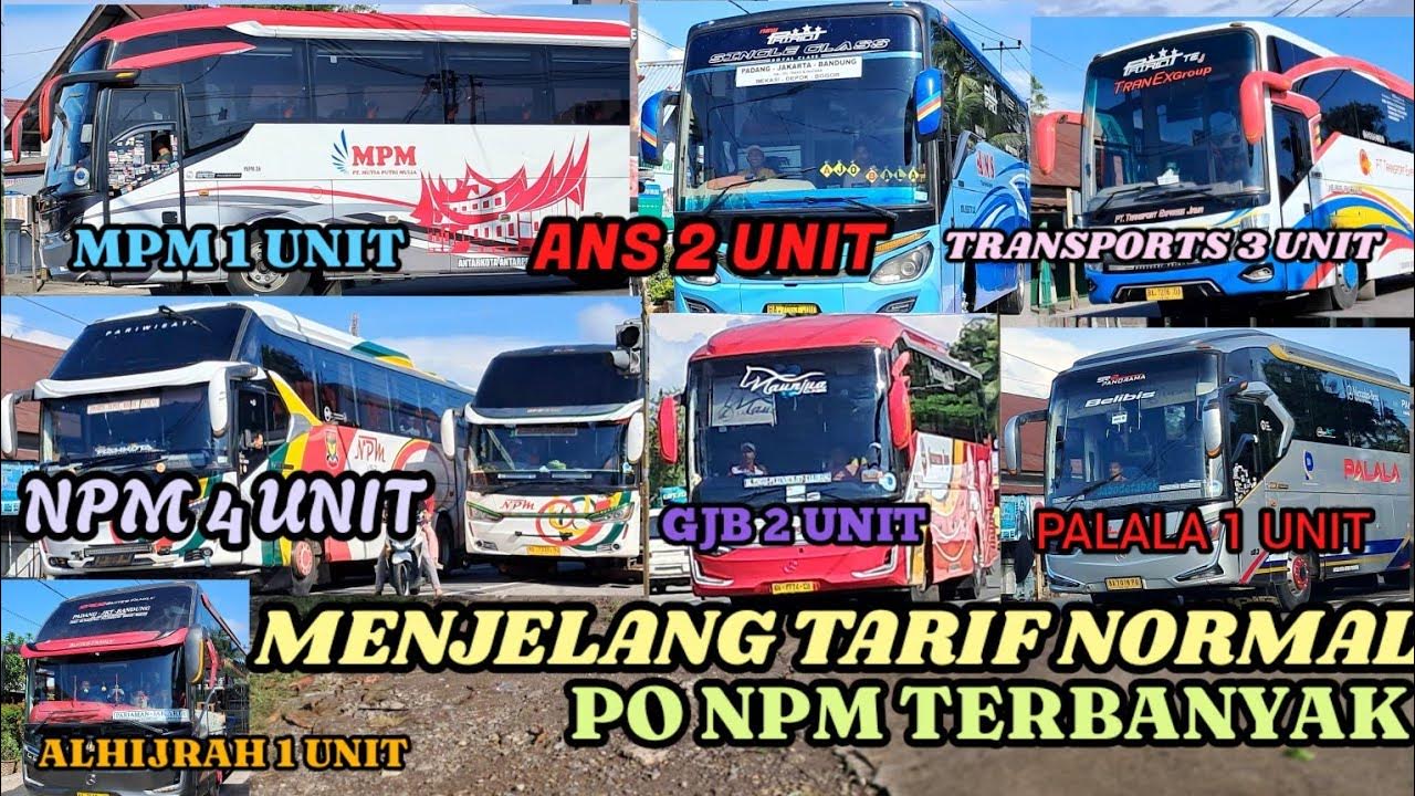 Menjelang Tarif Turun‼️Po Npm Masih Dominasi Pemberangkatan. - YouTube