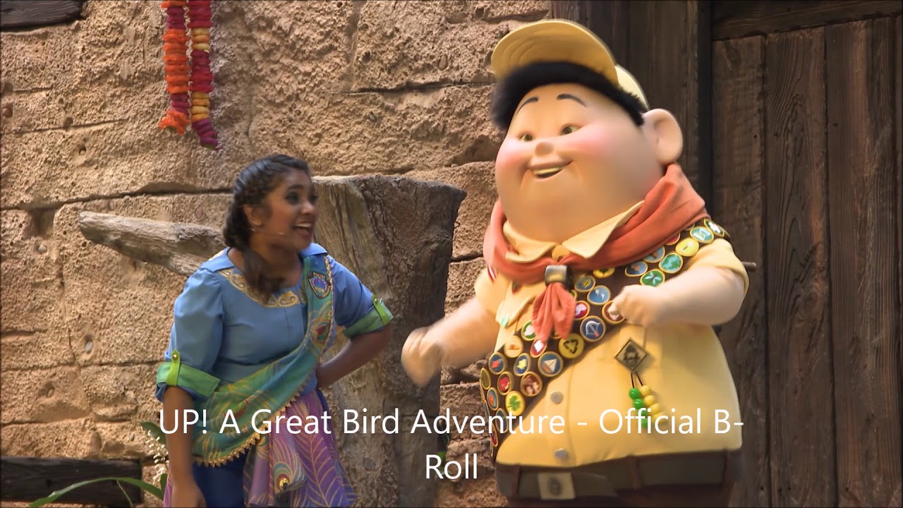 UP! A Great Bird Adventure - Disney's Animal Kingdom - YouTube
