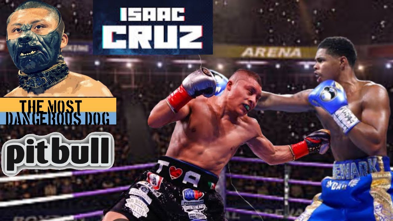 The Most Dangerous Dog in Boxing - Isaac " Pitbull " Cruz Punching ...