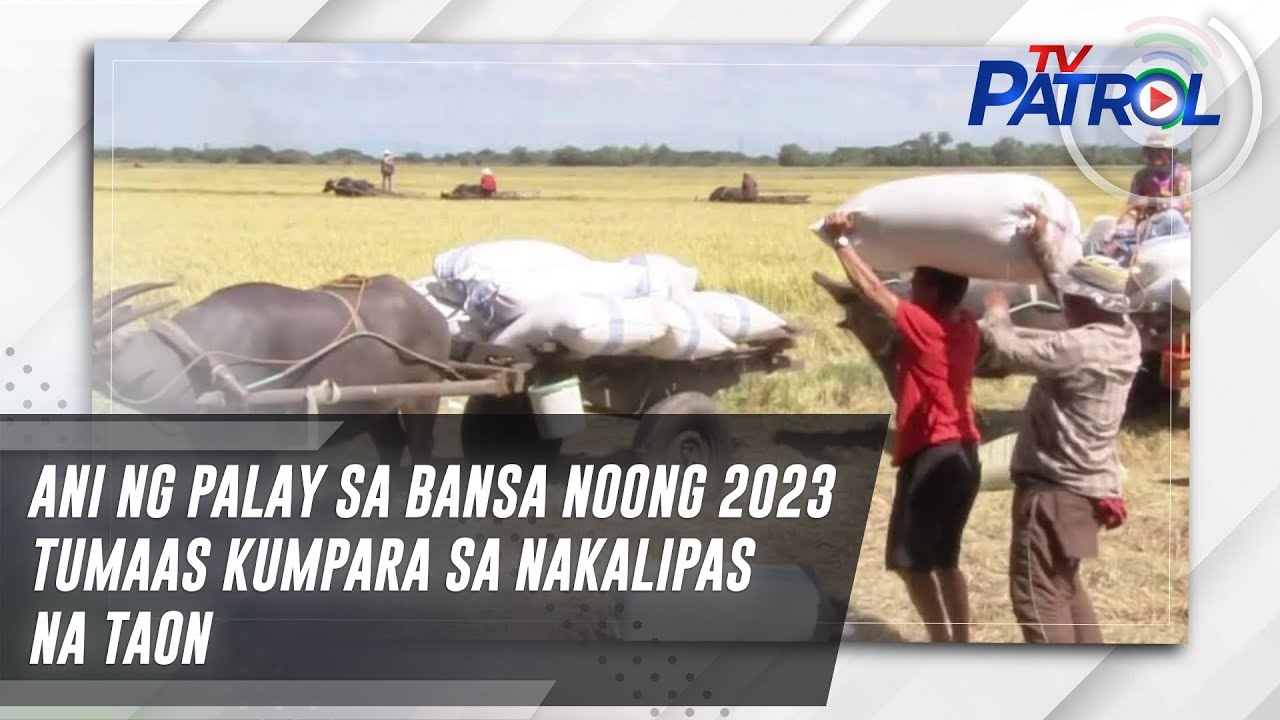 Mga magsasaka nangangamba sa epekto ng El Nino | TV Patrol - YouTube