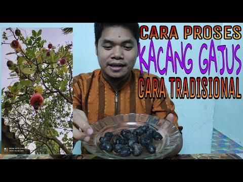 Cara Proses Kacang Gajus Secara Tradisional | Kenangan Budak 90an.