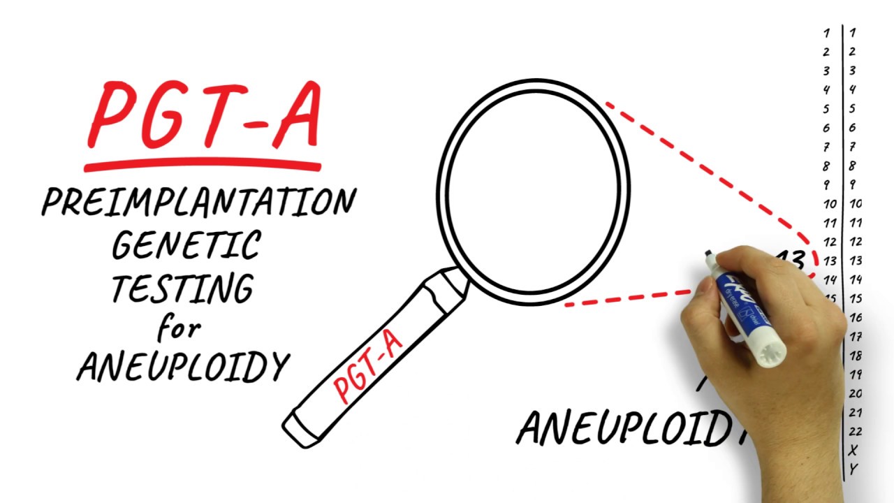PGT-A (or PGS) with genomic prediction - YouTube