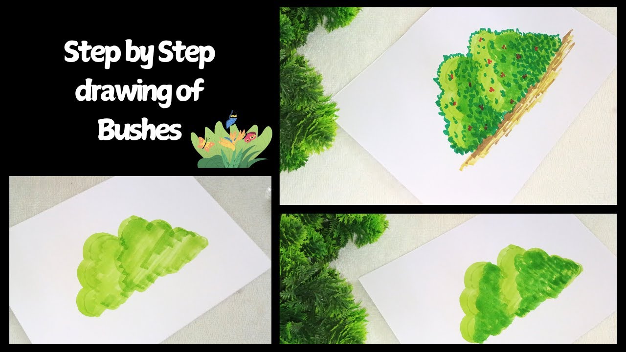 Step by Step drawing of Bushes in Alcohol markers | #stepbystep # ...