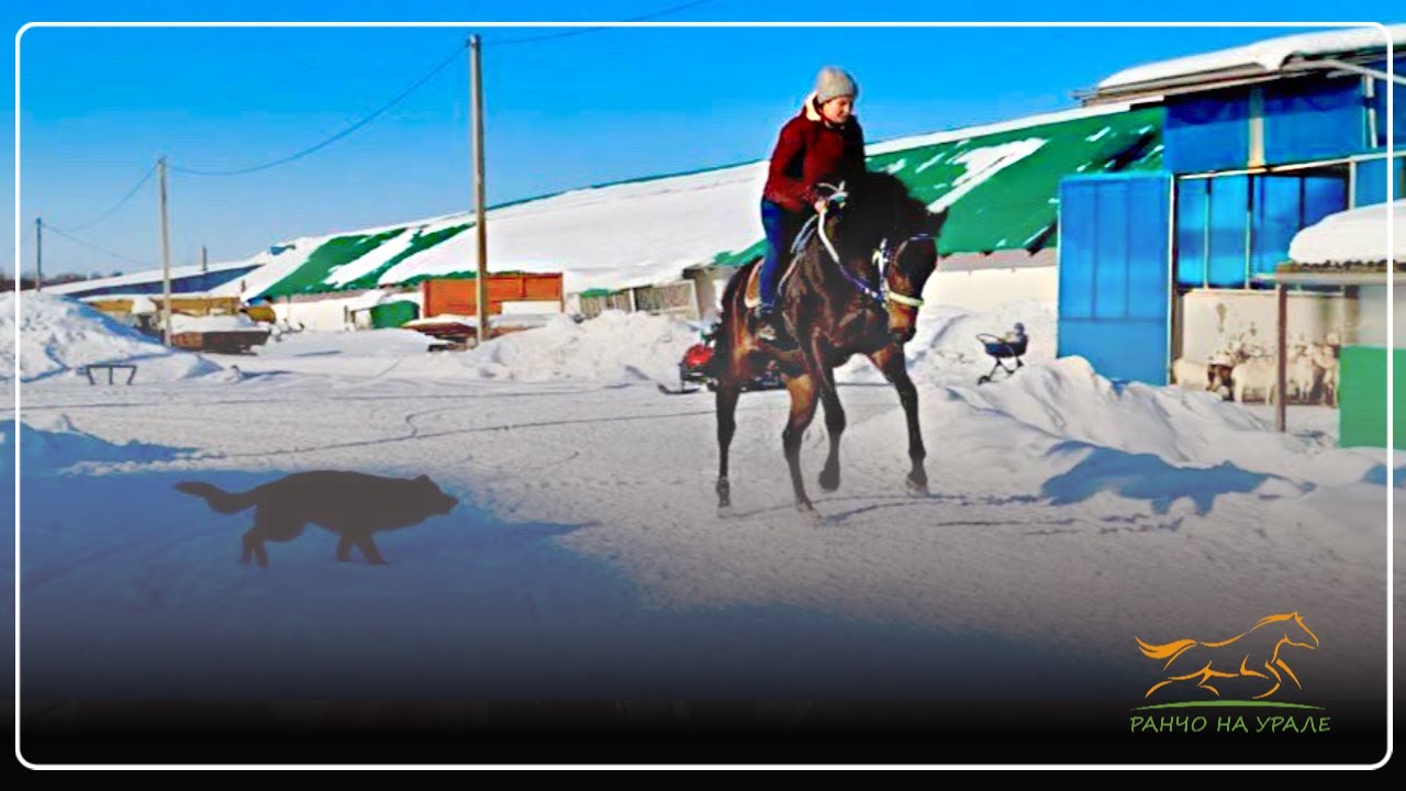 Ранчо на Урале/ Немного получилось отдохнуть и съездить с Алиной в ...