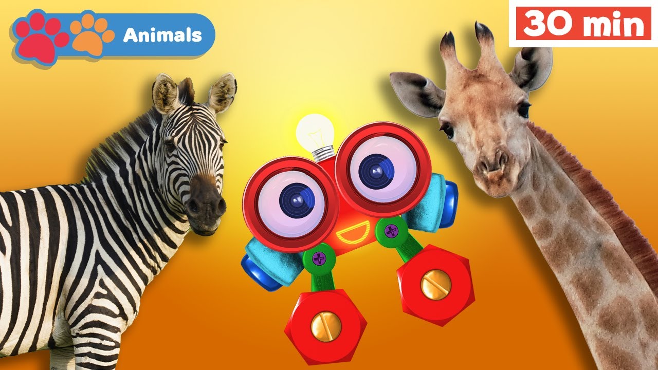 Learn Animals w Robi | Educational Early Learning Videos | Animals ...