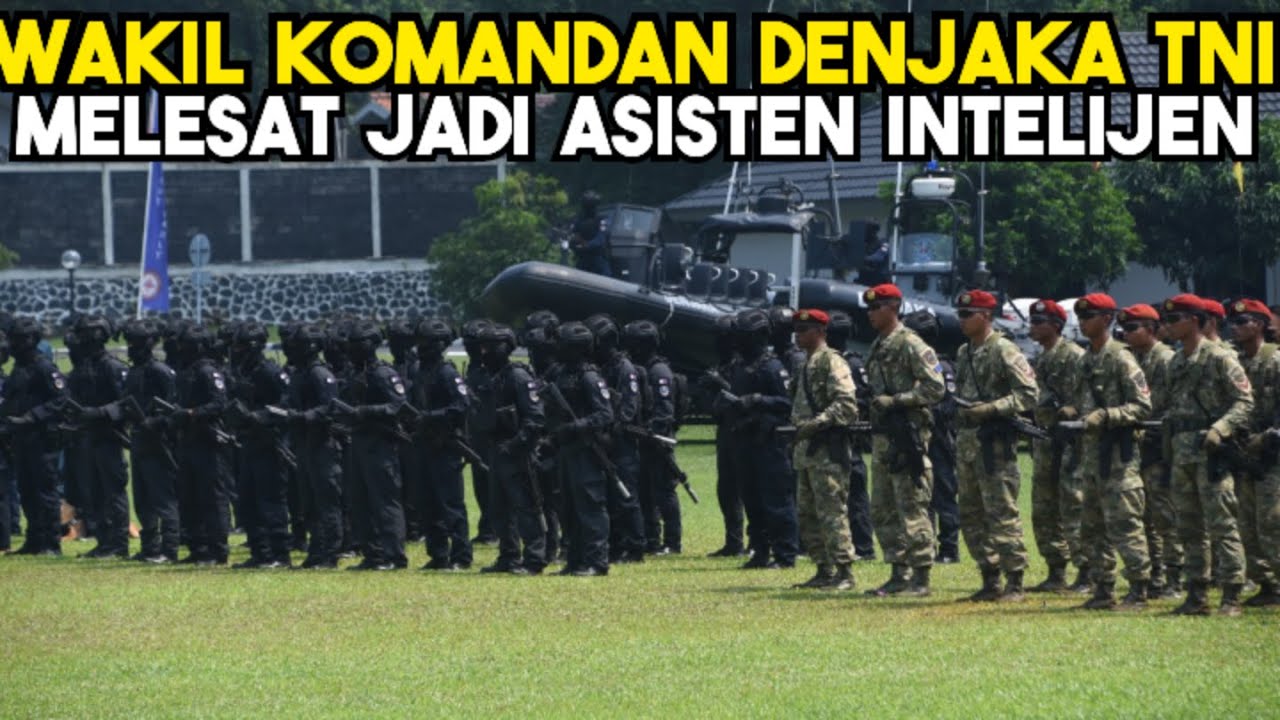 Sosok Wakil Komandan Denjaka Marinir Melesat Jadi Asisten Intelijen TNI ...