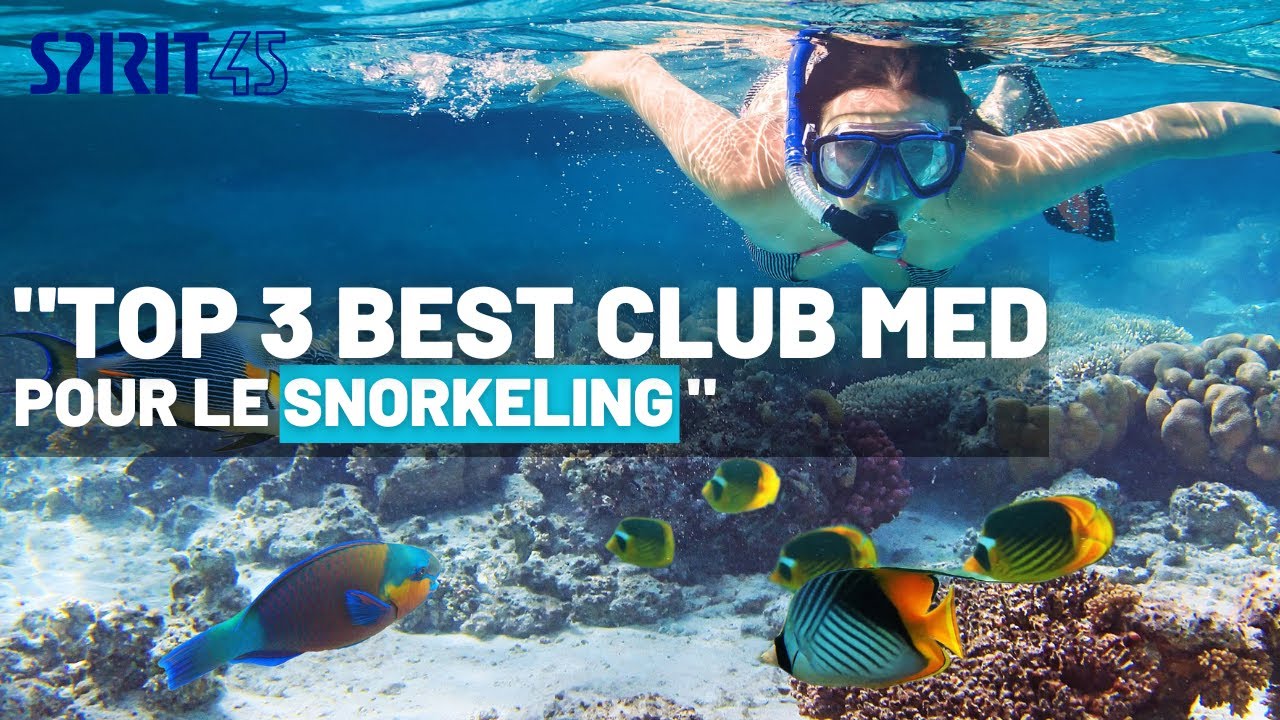 TOP 3 Meilleurs Club Med pour la plongée en snorkeling | Vous DEVEZ ...