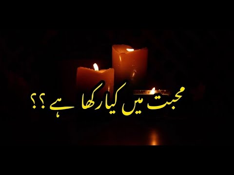 Muhabbat Mai kia rakha Hy??Muhabbat poetry Whatsapp status||Triple M Studio 💕🥀