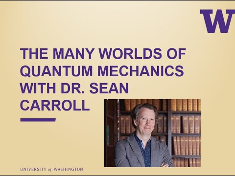 Dr. Sean Carroll: The Many Worlds of Quantum Mechanics - YouTube