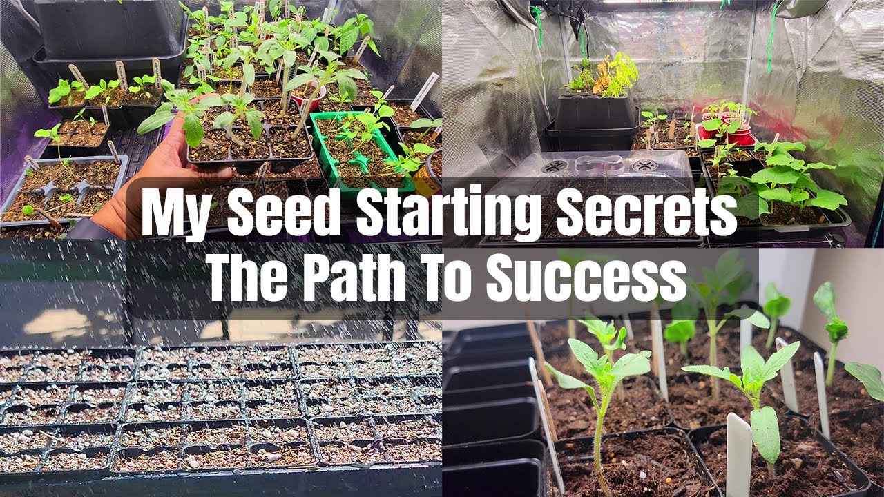 Seed Starting Secrets: Step-by-Step Guide to Growing Veggies Indoors ...