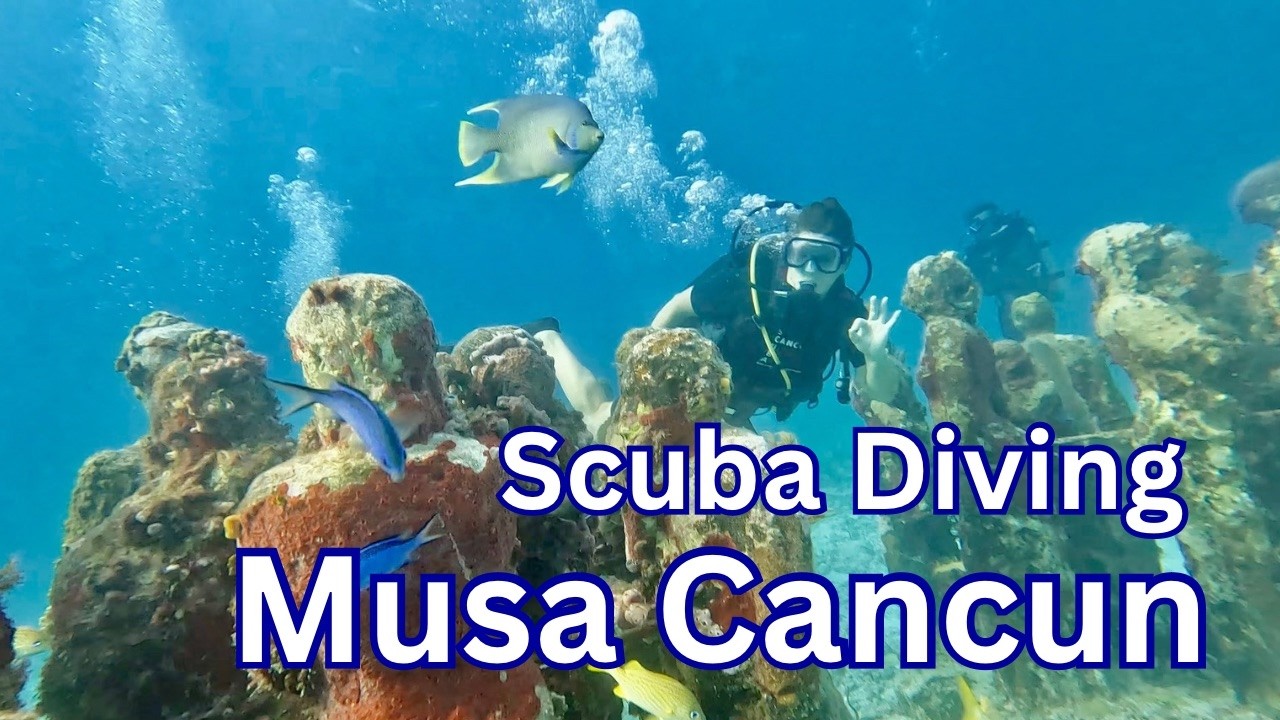 Would we Scuba Dive the MUSA with Cancun Scuba Center again? MUSA ...