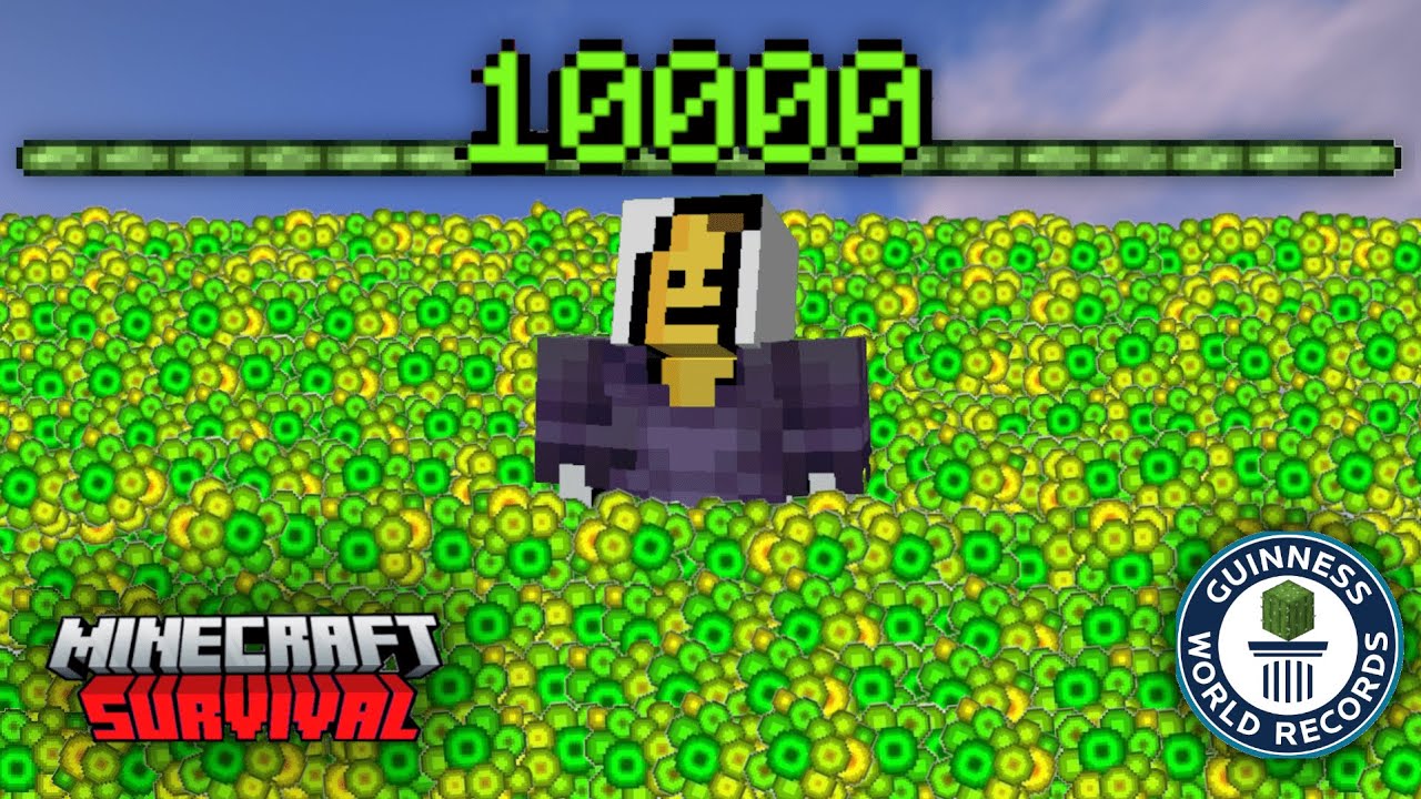 WELTREKORD?! Level 10000 nur mit Kakteen! Minecraft Level-Rekord #5 ...
