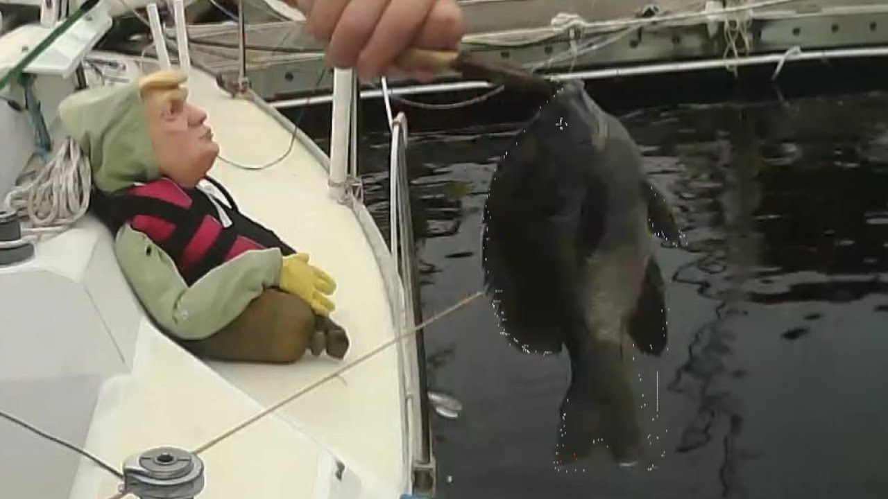 live FLORIDA FISHING SHELLCRACKERS AND CATFISH - YouTube