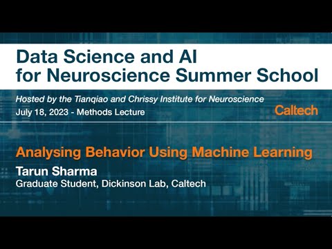 Day 7 - Methods Lecture: Analysing Behavior Using Machine Learning ...