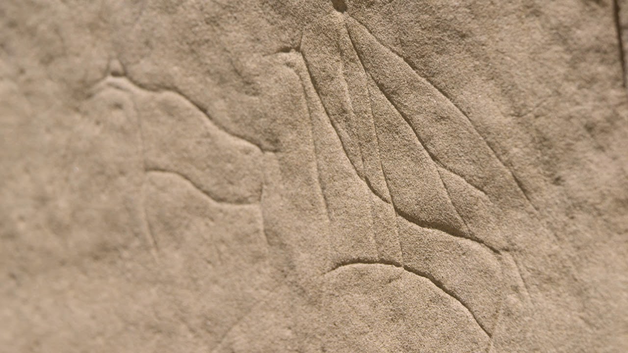 Propos de Jack Brink along a rock wall | Aisinai'pi | Images on Stone ...