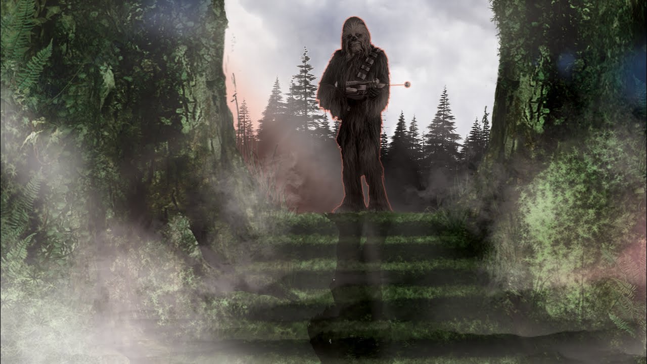 ( LIVE ) WITH SNAFU RADIO - YouTube