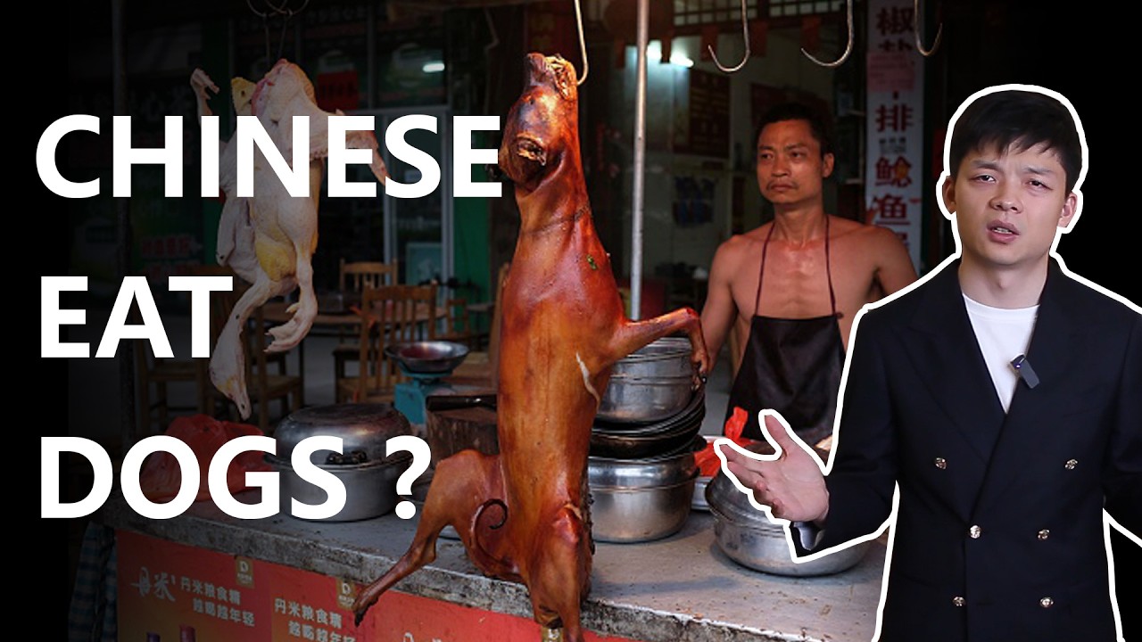 Do Chinese Really Eat Dogs? - YouTube
