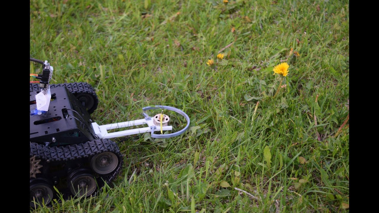 Dandelion Hunting Robot - YouTube