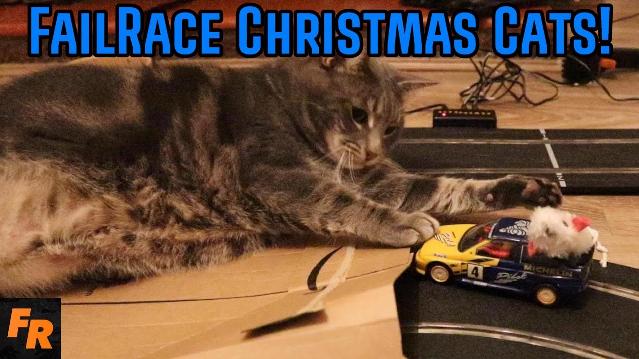 FailRace Christmas Cats! - YouTube