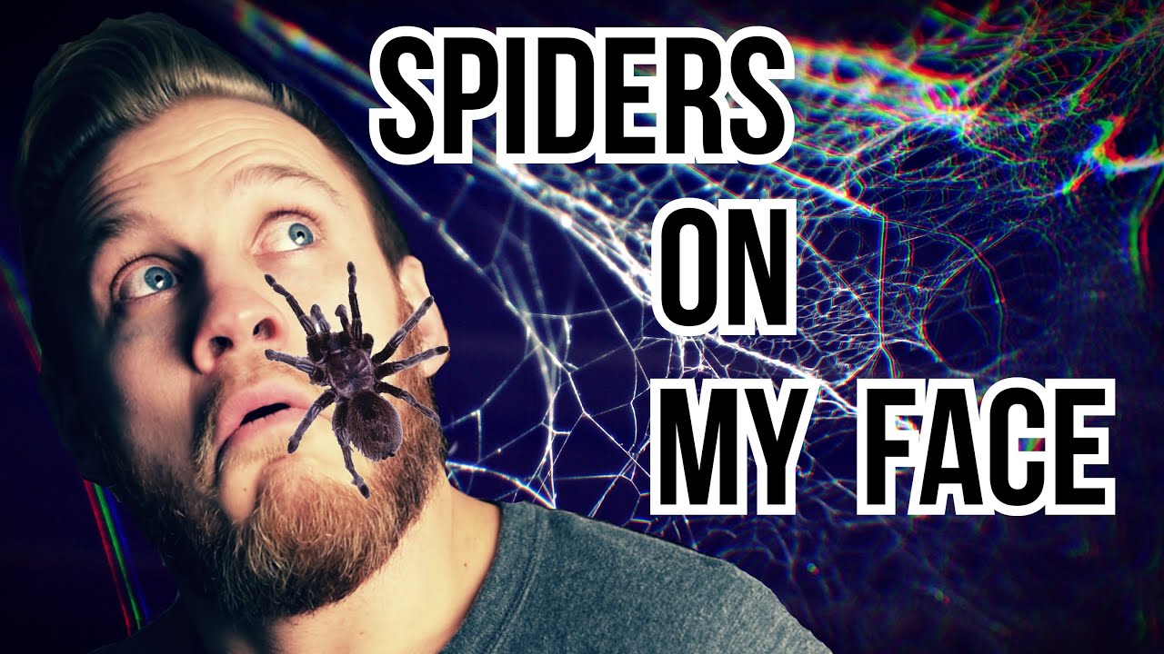 Fear Of Spiders | Arachnophobia | Potty Mouth Fear Factor (feat. Larry ...