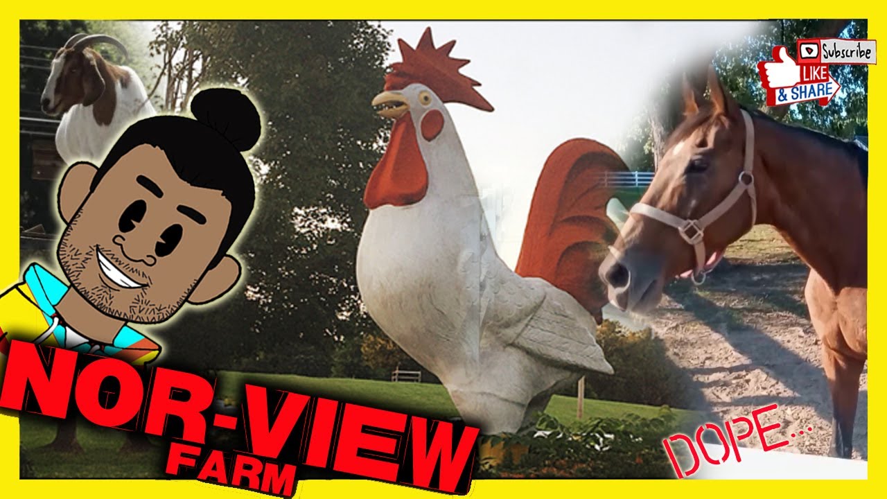 🐴 NOR-VIEW FARM 👨‍🌾 (FUN) - YouTube
