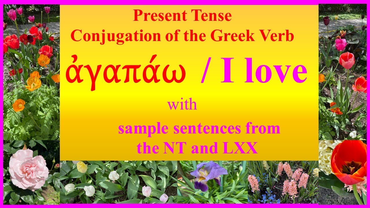 Present Tense Conjugation of the Greek Verb ἀγαπάω / I love with ...