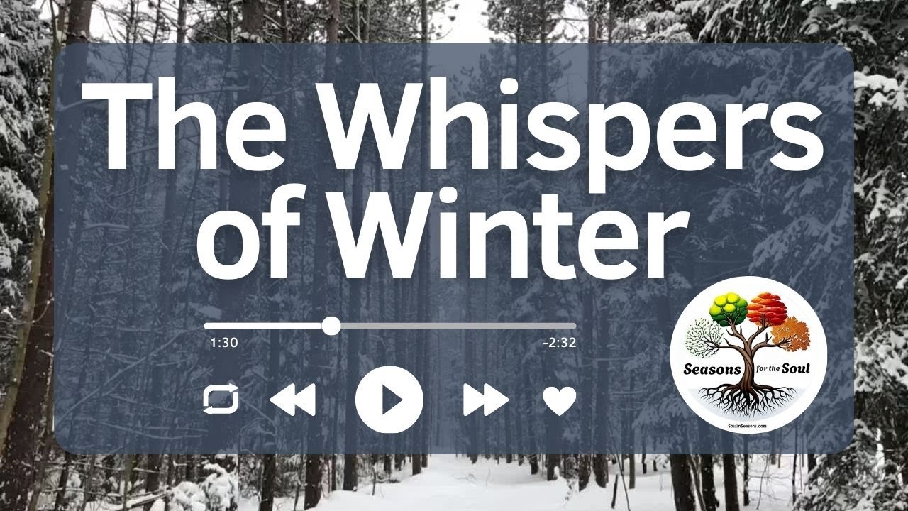 The Whispers of Winter: A Soulful Ode to the Season | Seasons for the ...