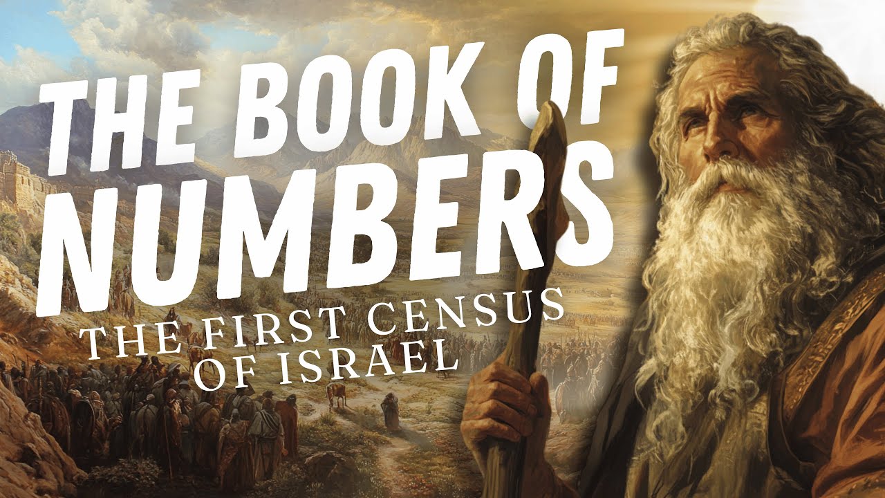 NUMBERS: The First Census of Israel - YouTube
