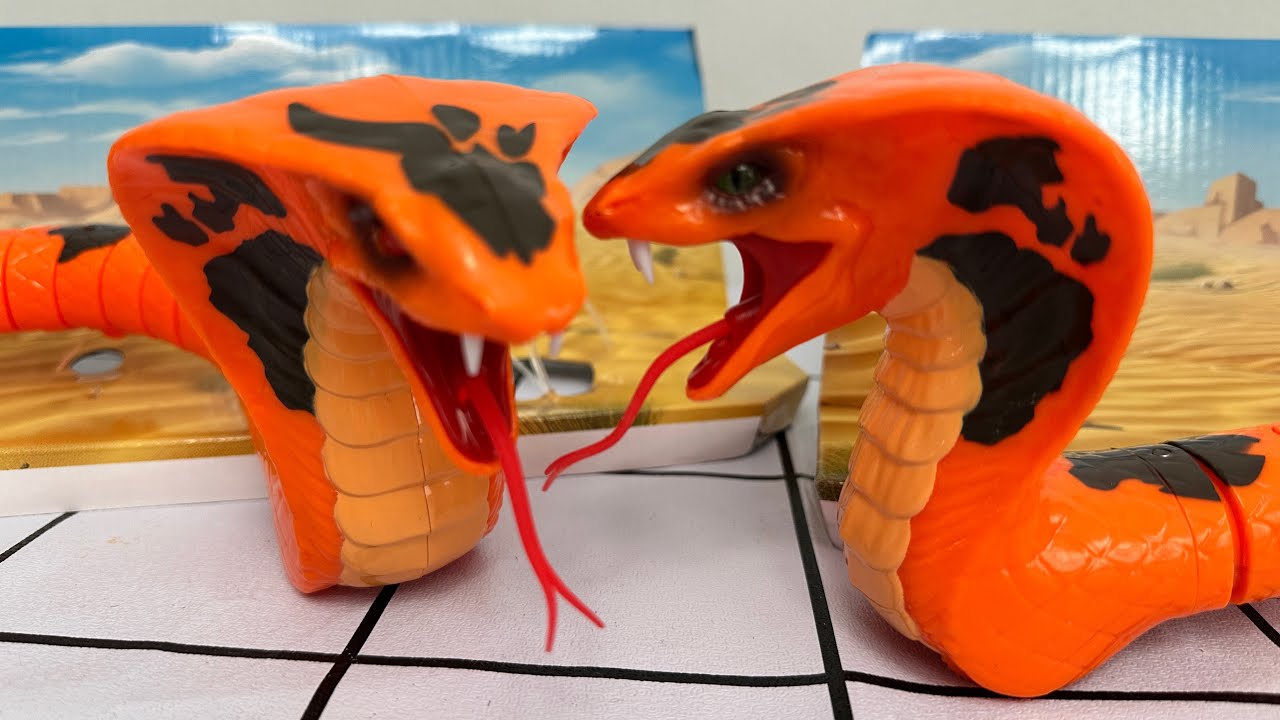 Zuru Robo Alive King Cobra Toys Unboxing - YouTube