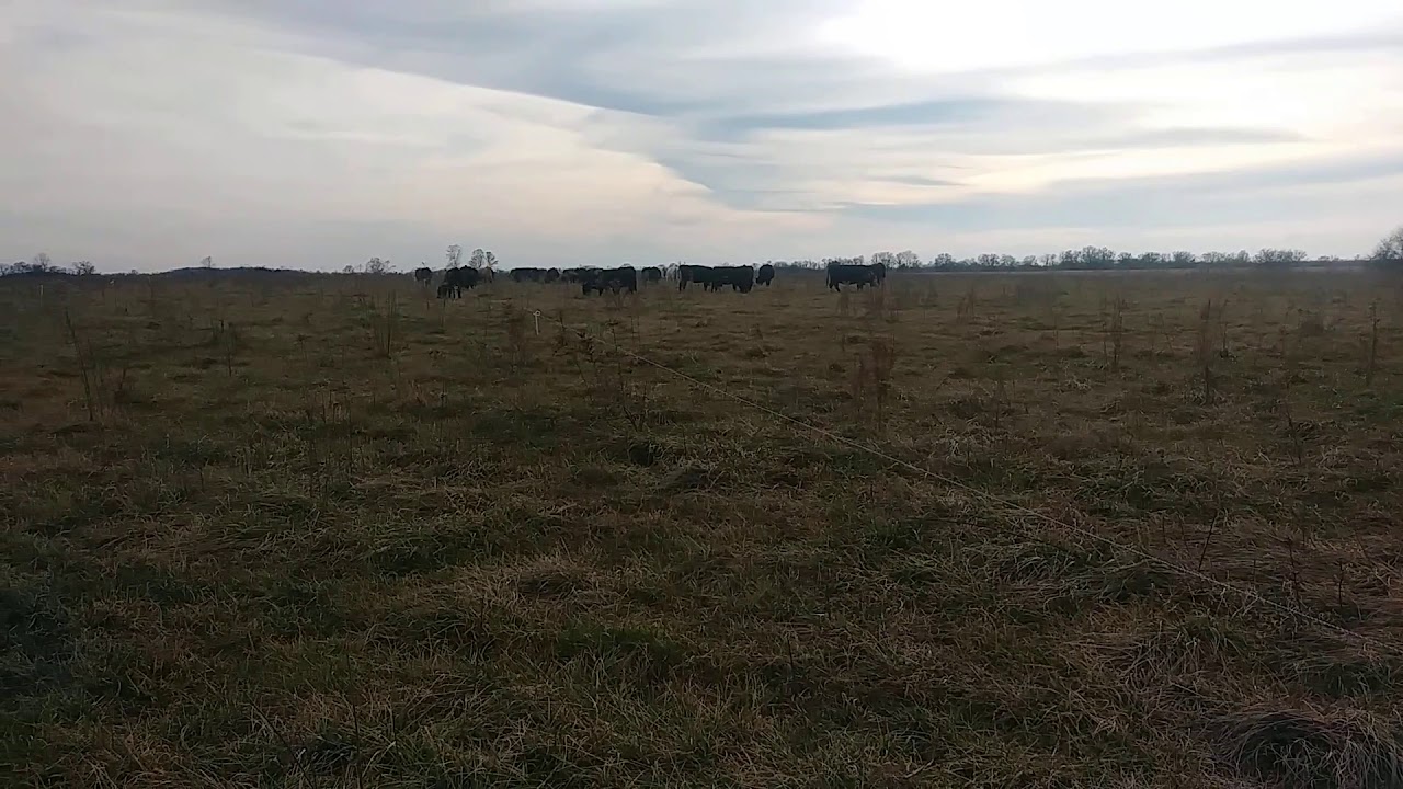 Long narrow field - YouTube