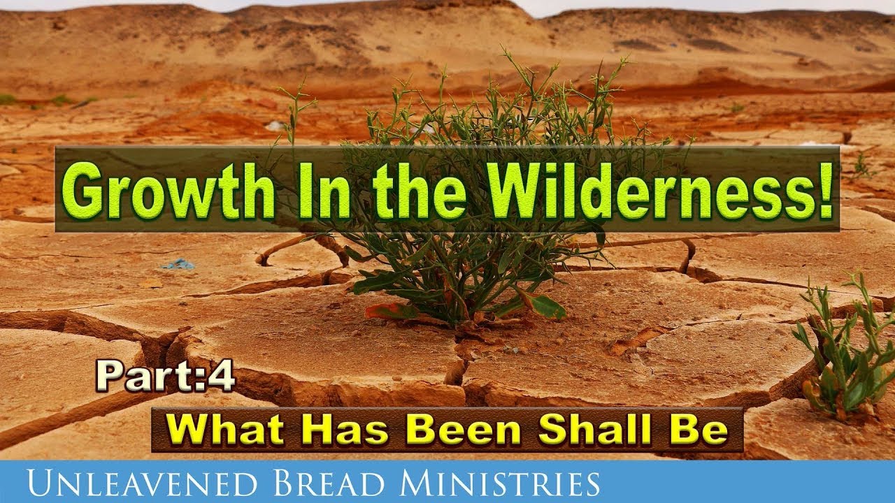 What Does the Bible Says About Going to Our Promised Land? What Has ...