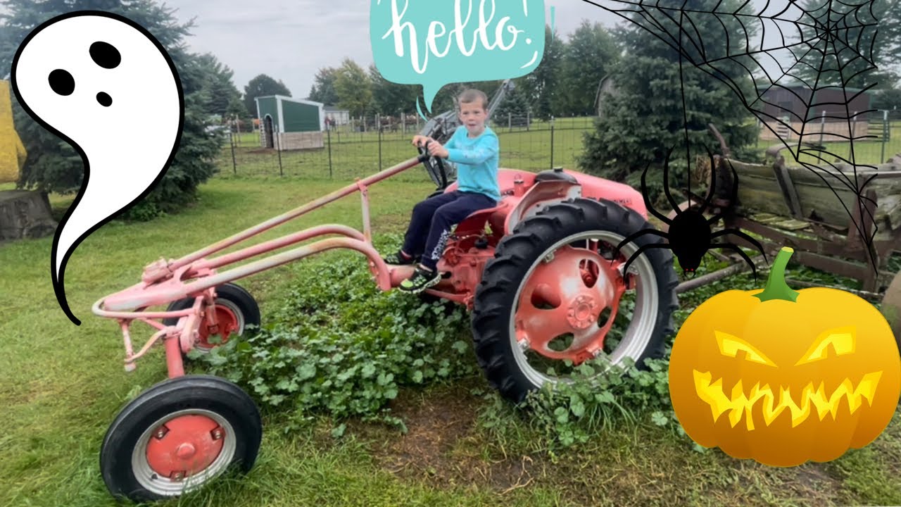 Johnson’s Pumpkin Patch in Michigan - YouTube