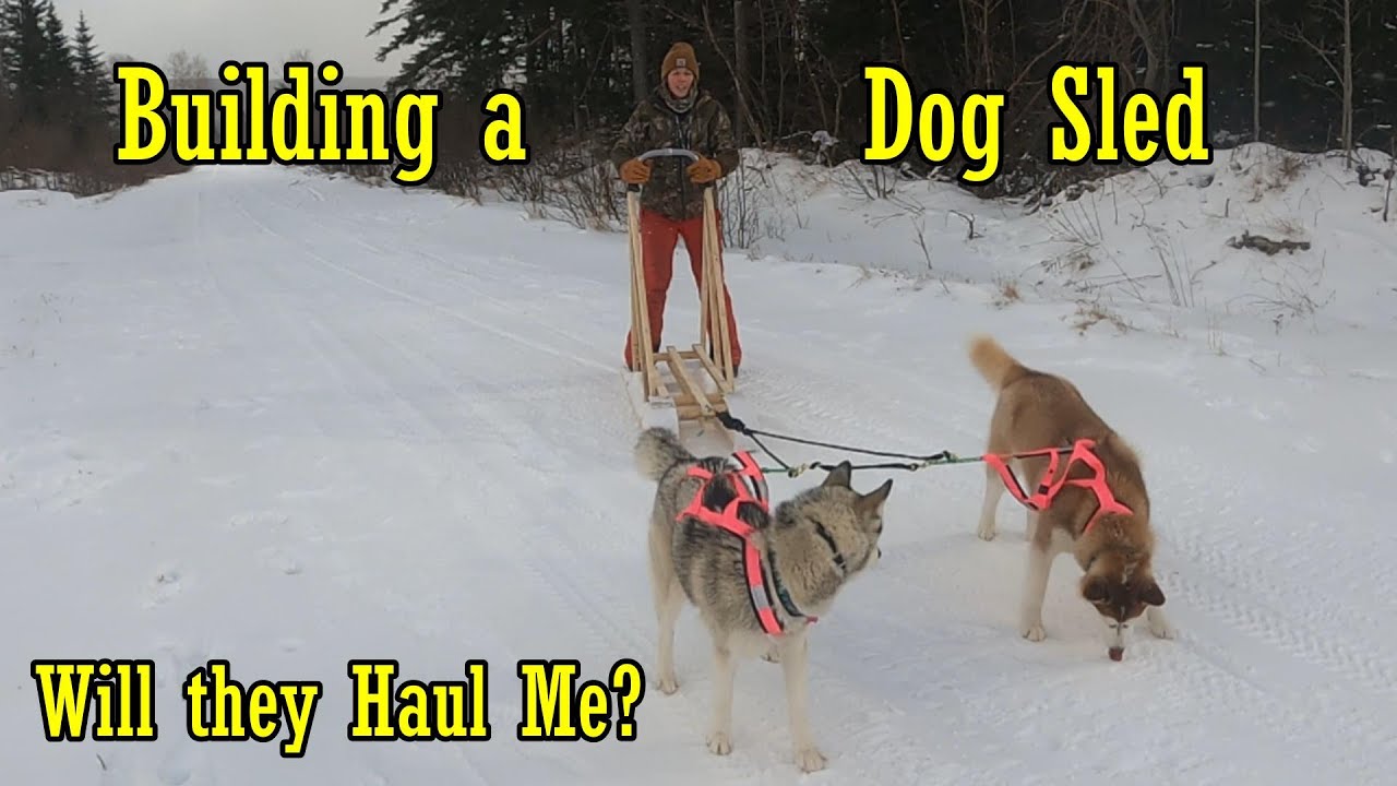 Building a Dog Sled - YouTube