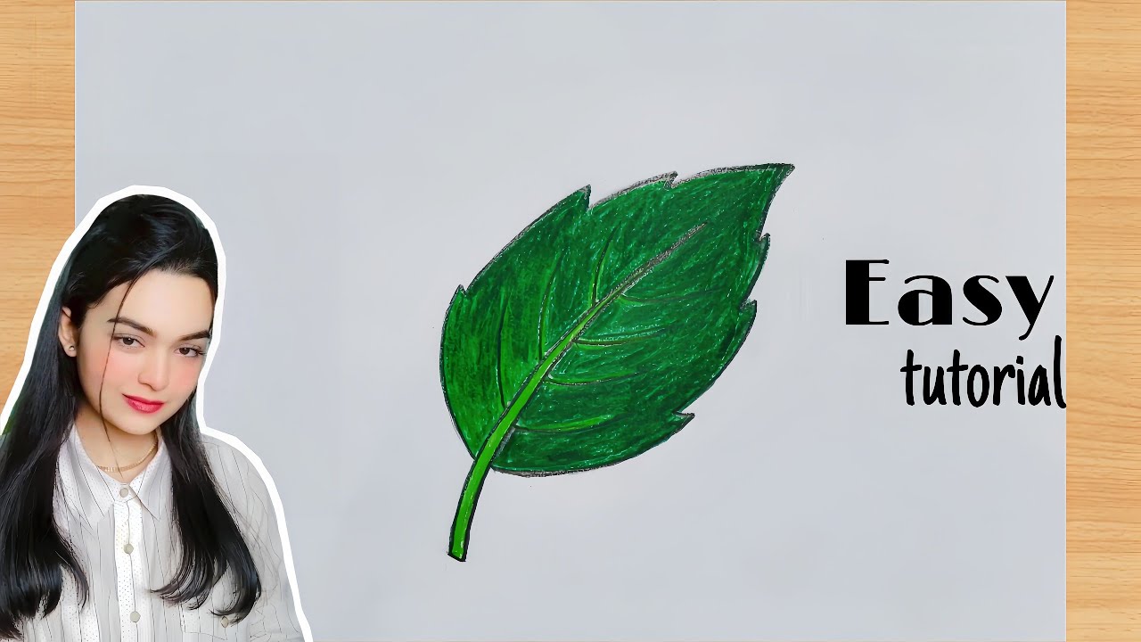 How to draw a leaf easy | Leaf drawing colour | Easy Drawing - YouTube