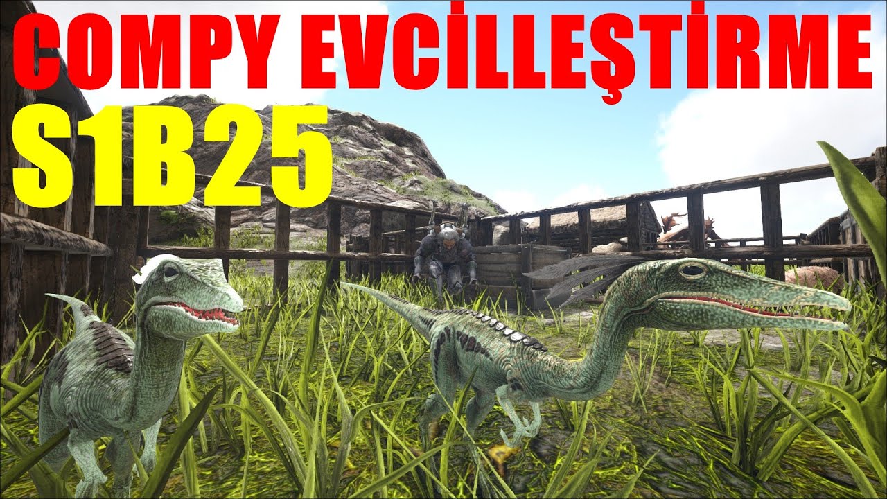 Compy Taming I Compy Evcilleştirme I ARK Survival Evolved | Ragnarok ...