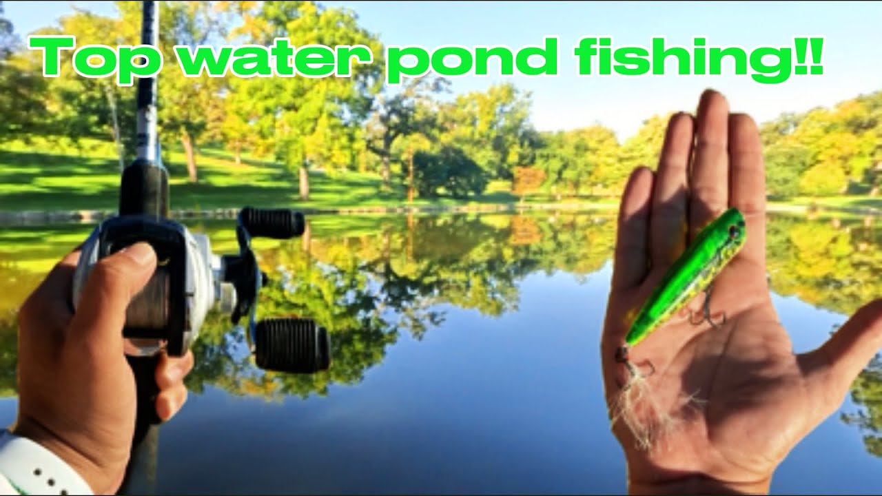 The top water bite was on!! (Big Fish) - YouTube