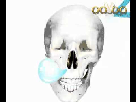 talking skull - YouTube