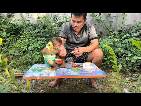 What did Dad and Monkey Sun eat today? - YouTube