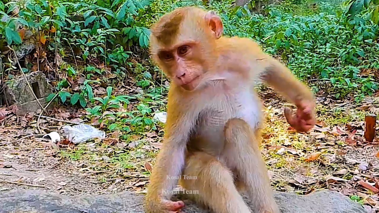 It's really funny Ricky with Bryan and Mr Jimmy too 😂😂😂🥰🥰🥰 - YouTube