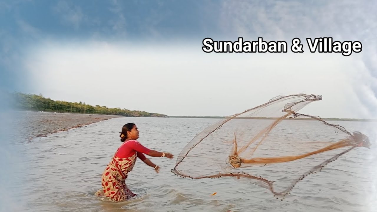 সুন্দরবন নদীতে চিংড়ি মাছ ধরা। Sundarban Fishing.@sundarban-and_village ...
