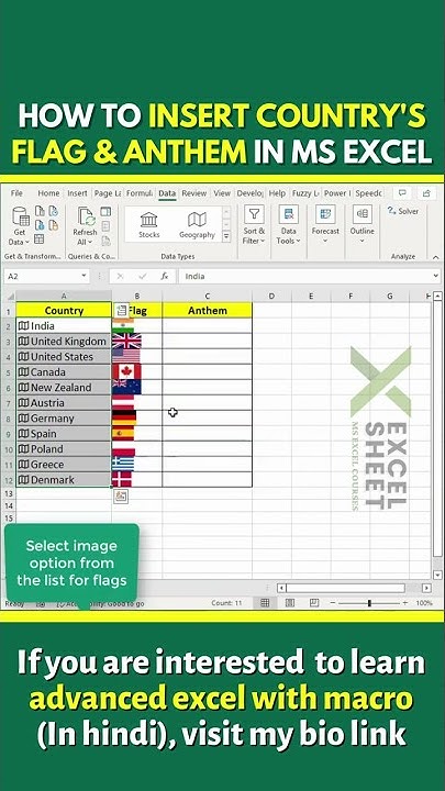 How To Insert Country's Flag & Anthem In Ms Excel | Excel Tips & Tricks ...