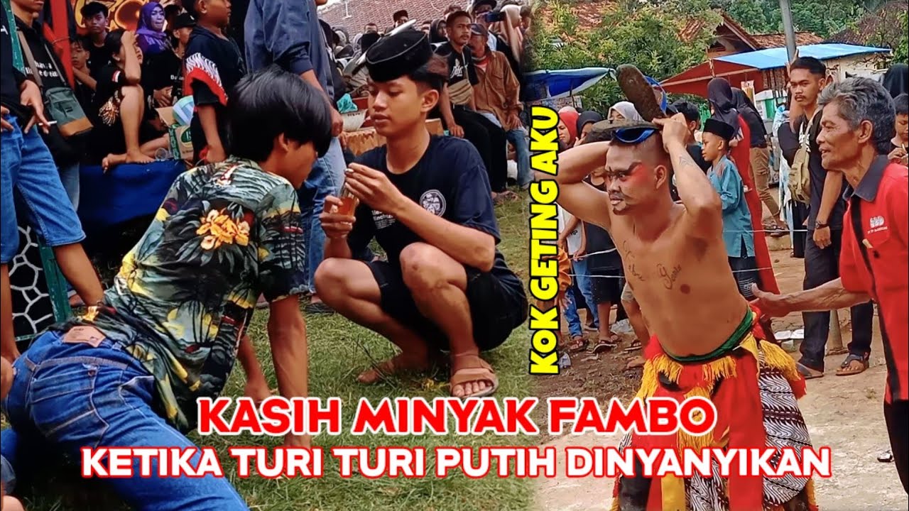 Turi turi putih dinyanyikan kasih minyak fambo biar njepat|| Bujang ...