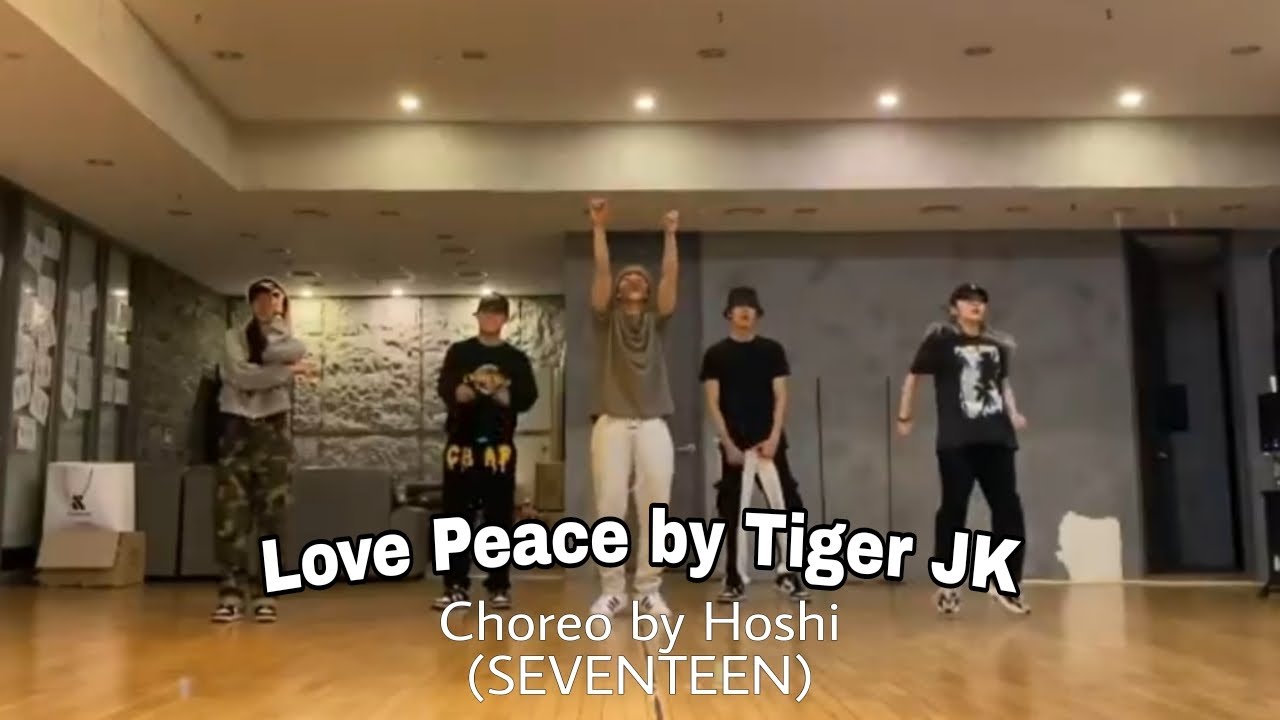 Hoshi dancing to Love Peace by Tiger JK | Choreo by Hoshi - YouTube